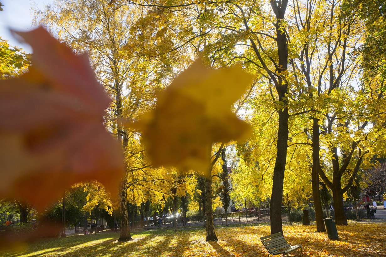 Ihana lokakuu! 30 syytä nauttia lokakuusta | Me Naiset